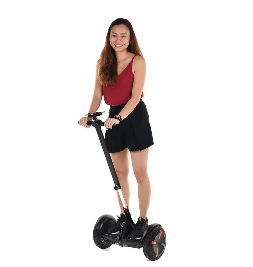 Handlebar Extender for Ninebot Mini/PRO | Falcon Pev